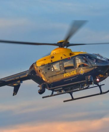 Lesioni cutanee: differenza tra macula, papula, pustola, vescicola ...