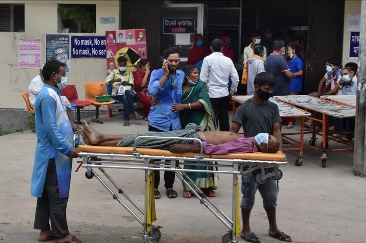 Different Types Of Stretchers | atelier-yuwa.ciao.jp