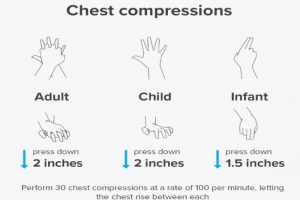 About Automated CPR Machine: Chest Compressor