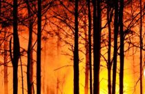 The History and Decline of the Fire Pole | Emergency Live