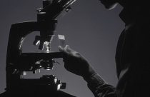 How do you check the L5 medial hamstring reflex?