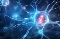 Maneuver and positive or negative Rovsing sign: what are they